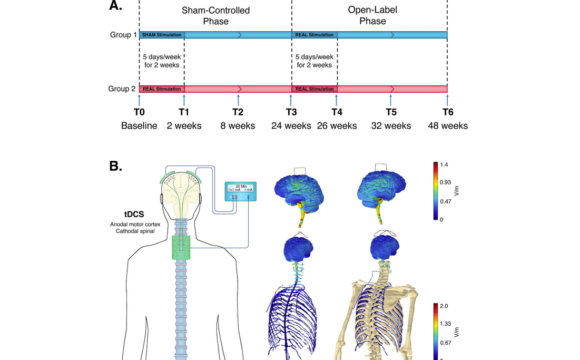Instituto Neurocognitivo Incia